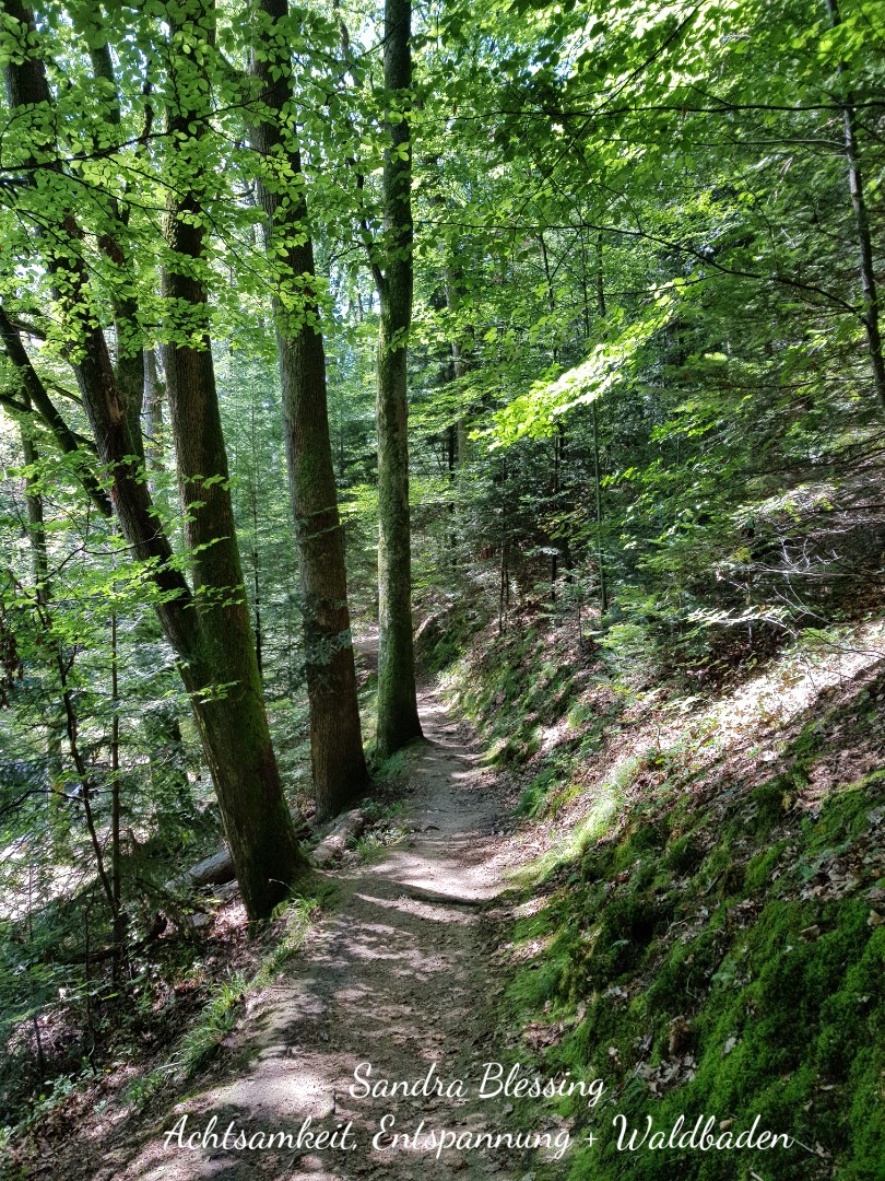 Sandra Blessing - Achtsamkeit, Entspannung & Waldbaden - Waldbaden ...